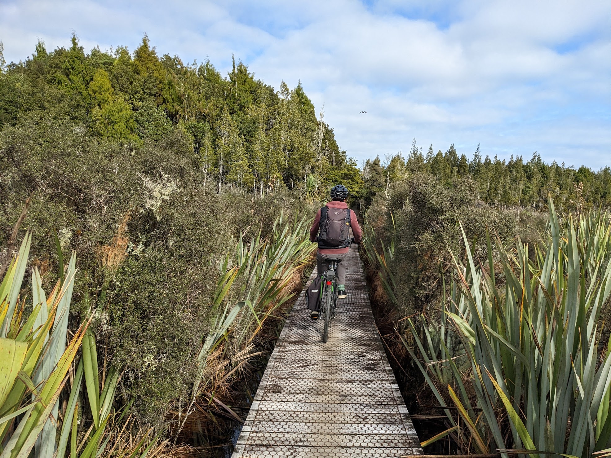 Pedalling the West Coast Wilderness Trail – Nearly Neutral Travel